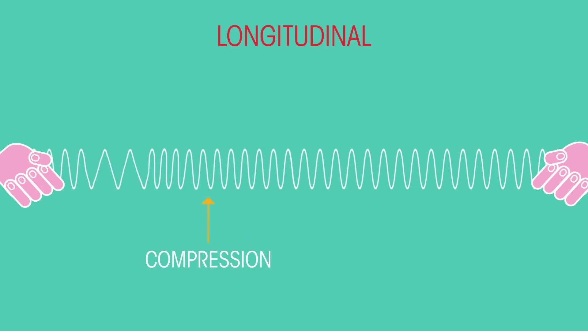 Transverse And Longitudinal Waves Science